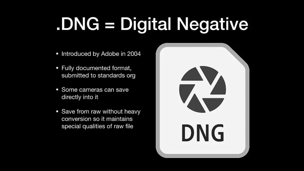 What Is A DNG File - VincenColor